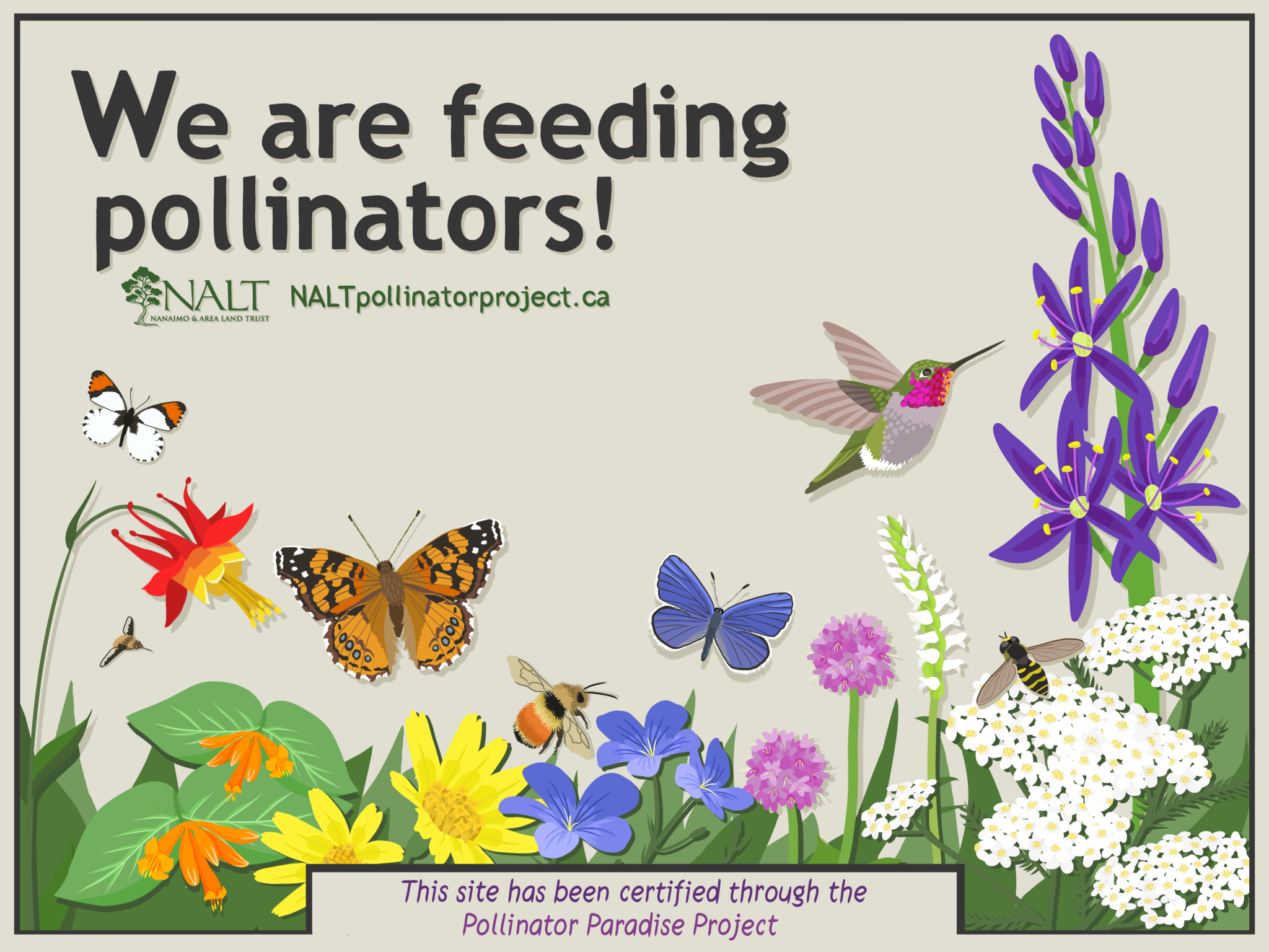 Pollinator Paradise Certification – Nanaimo Area Pollinator Paradise ...